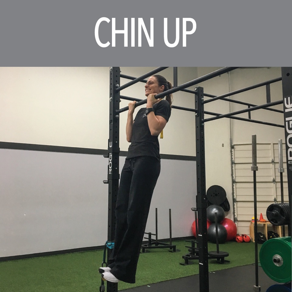 WTF: Chin Up - True North Strength and Fitness