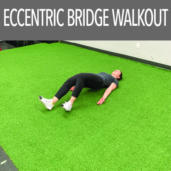 WTF: Eccentric Hamstring Slide with Sandbag - True North Strength and ...