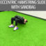 WTF: Eccentric Hamstring Slide with Sandbag - True North Strength and ...