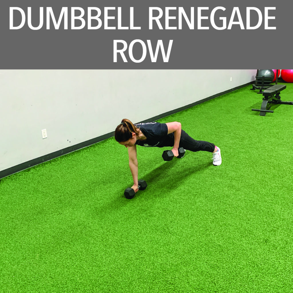 WTF: Dumbbell Renegade Row - True North Strength and Fitness