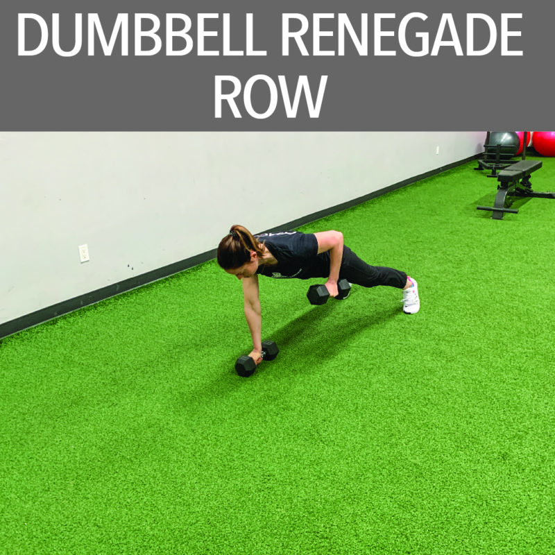 WTF: Dumbbell Renegade Row - True North Strength and Fitness
