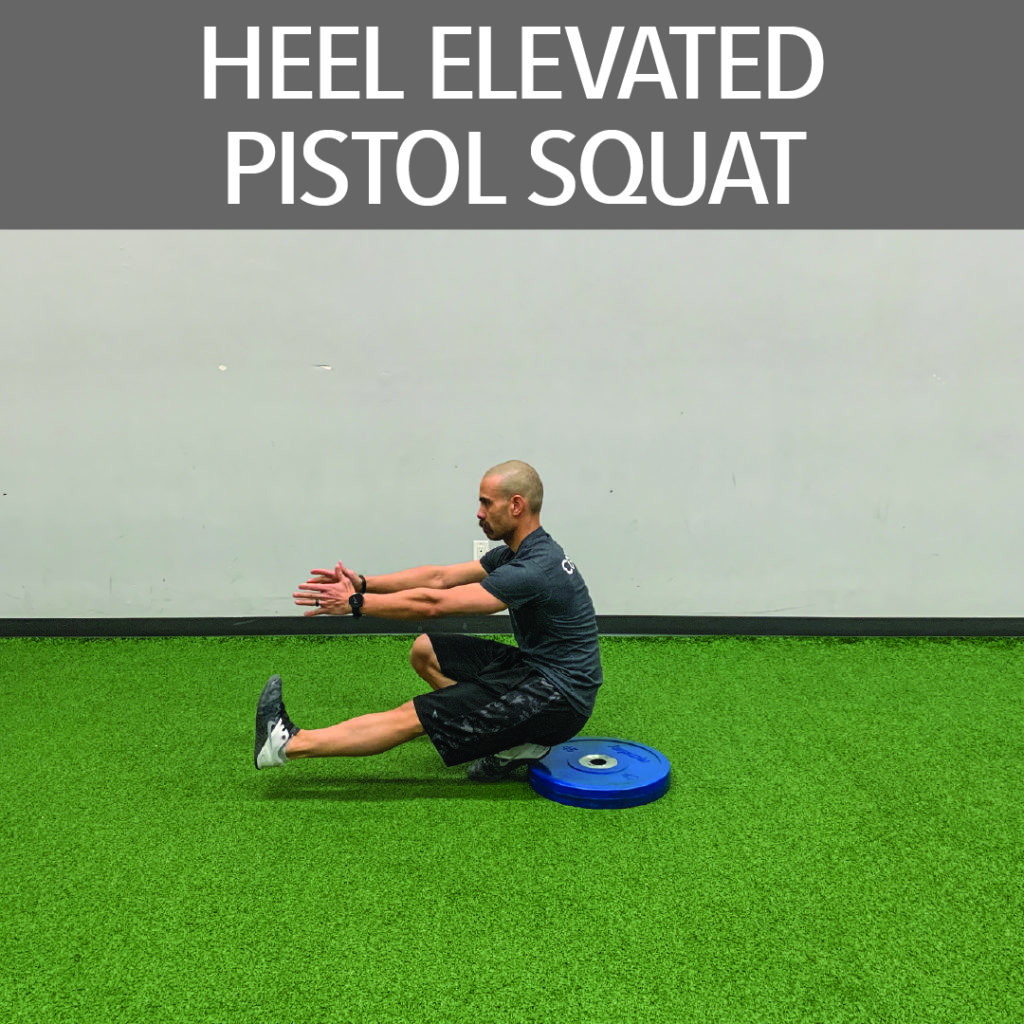 WTF: Pistol Squat - True North Strength and Fitness