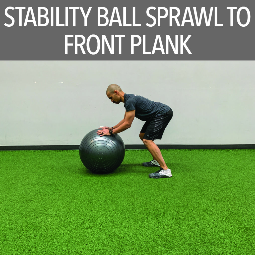 WTF: Stability Ball Saw - True North Strength and Fitness