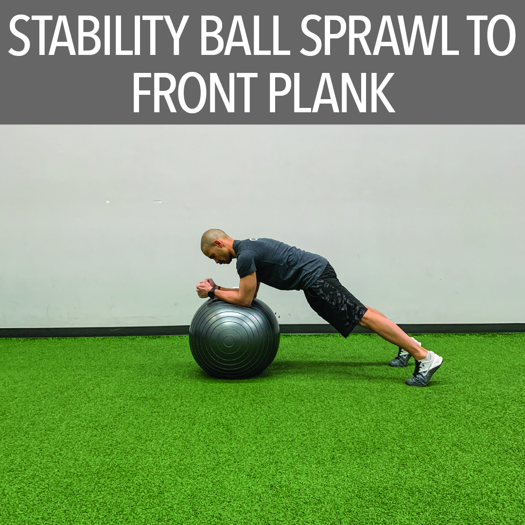 WTF: Stability Ball Saw - True North Strength and Fitness
