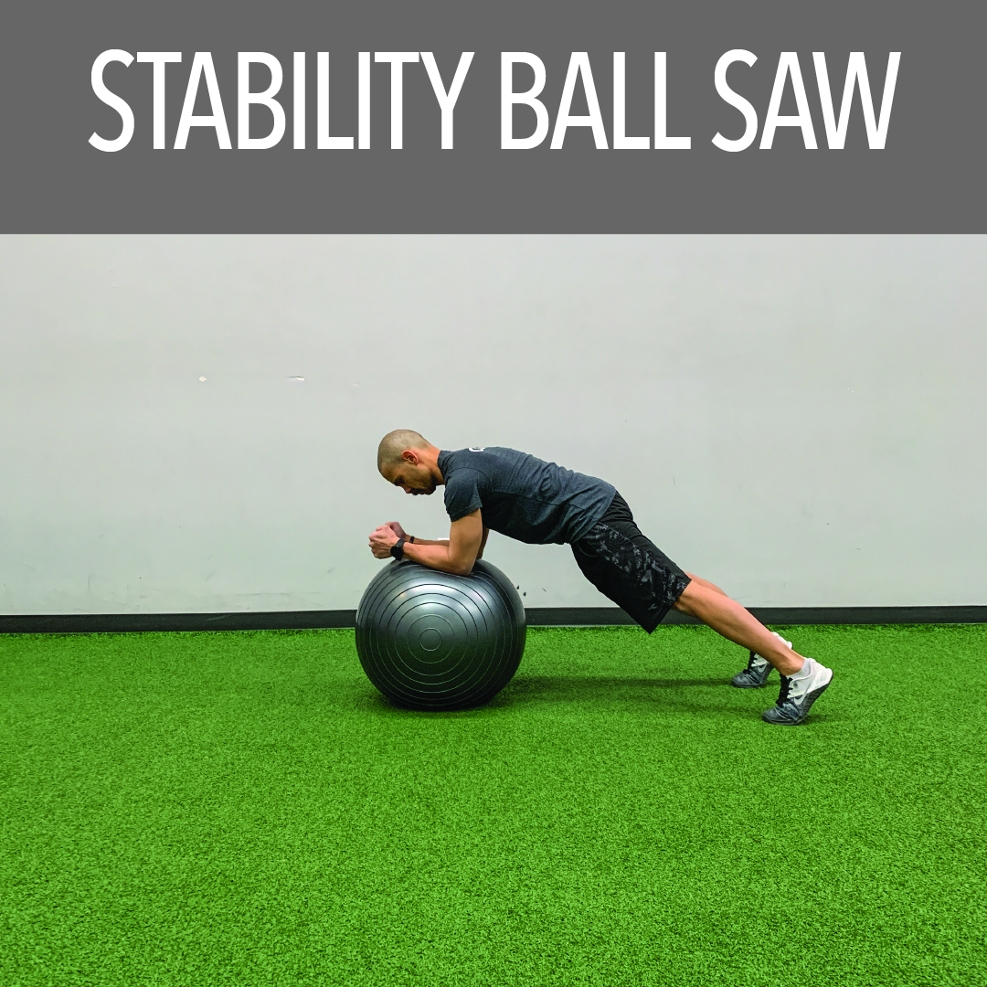 WTF: Stability Ball Saw - True North Strength and Fitness
